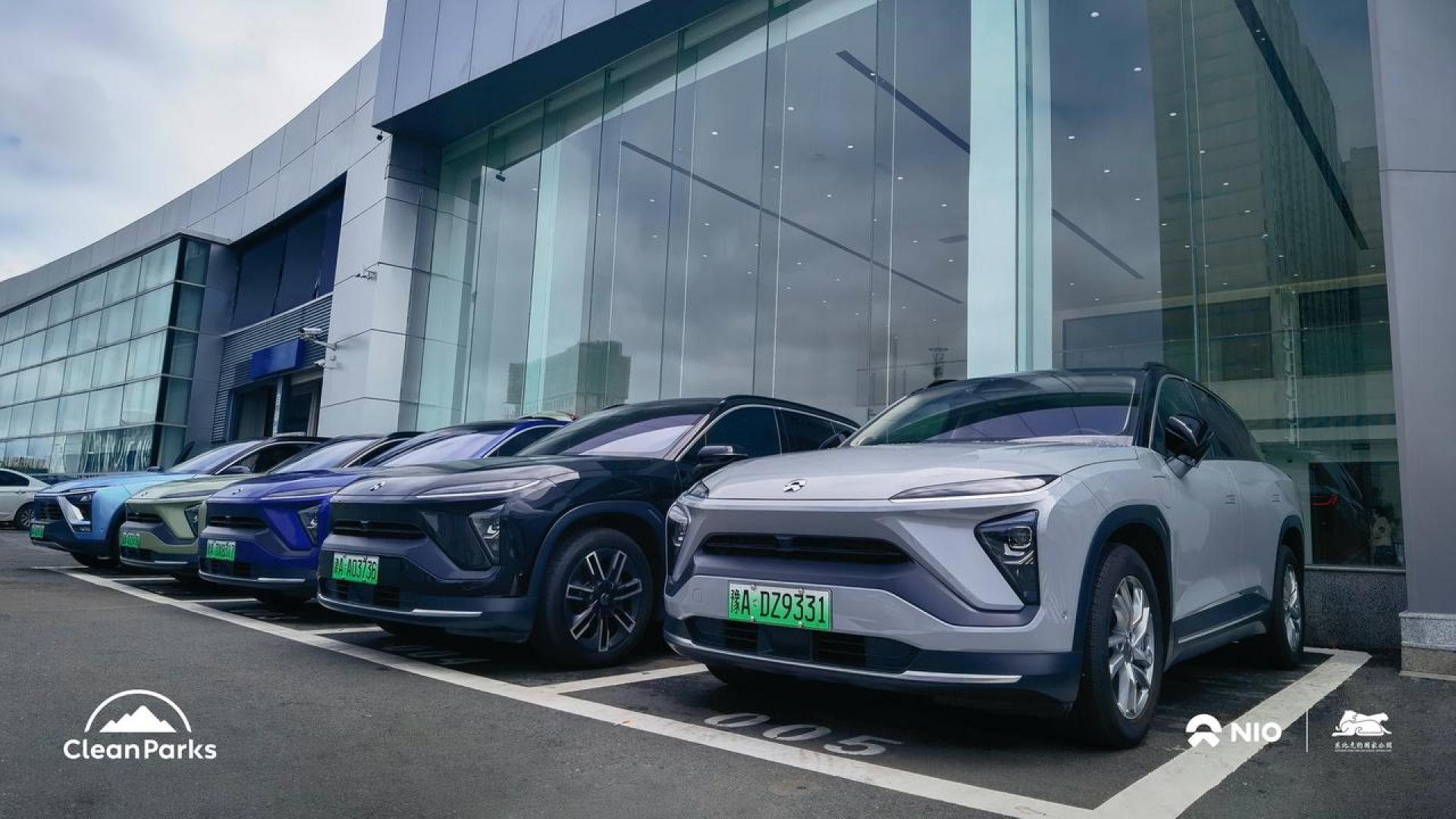 Learn about the Northeast China Tiger and Leopard National Park’s ...